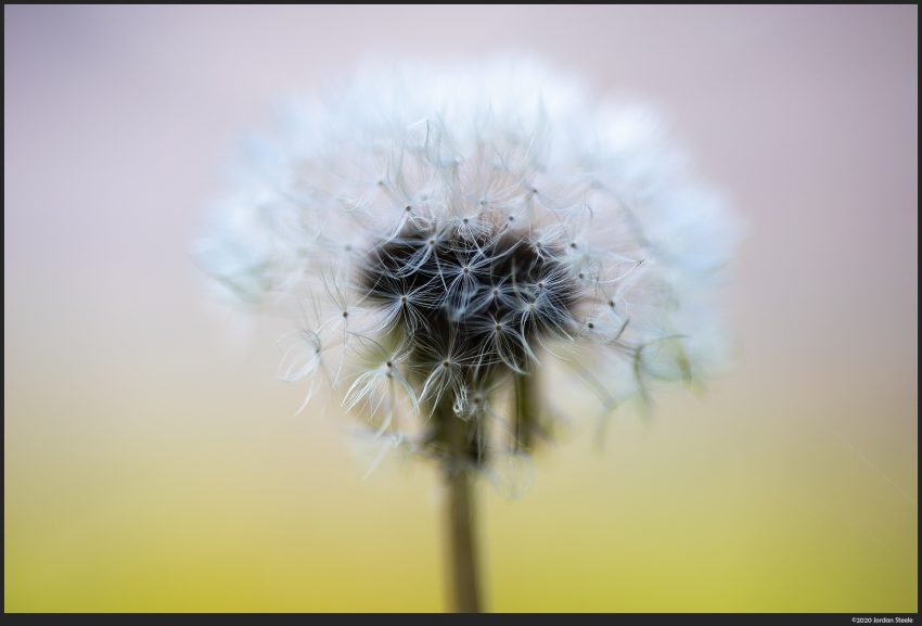 Review: Canon EOS R6 - Page 5 of 5